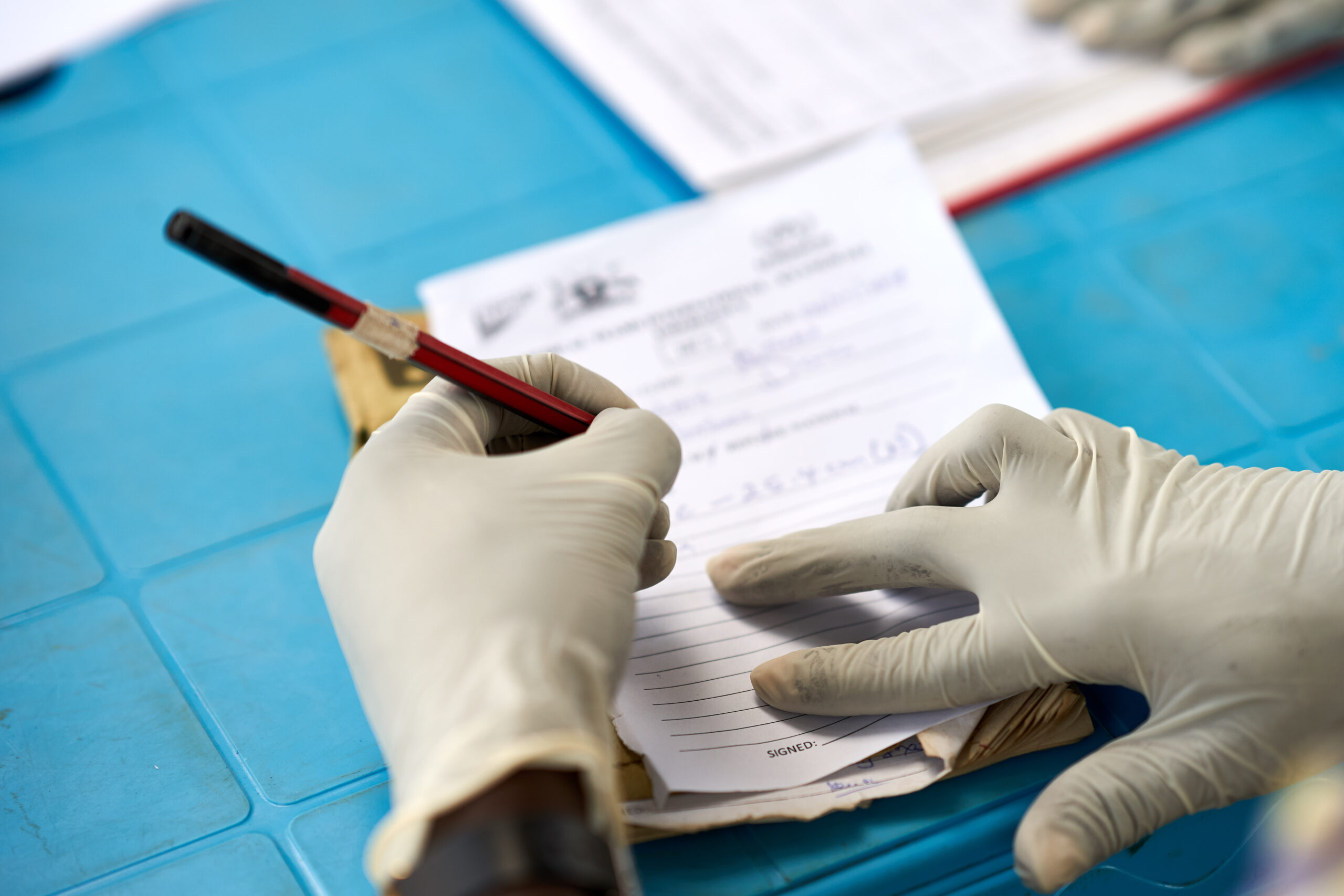 Internships | Medical Teams International