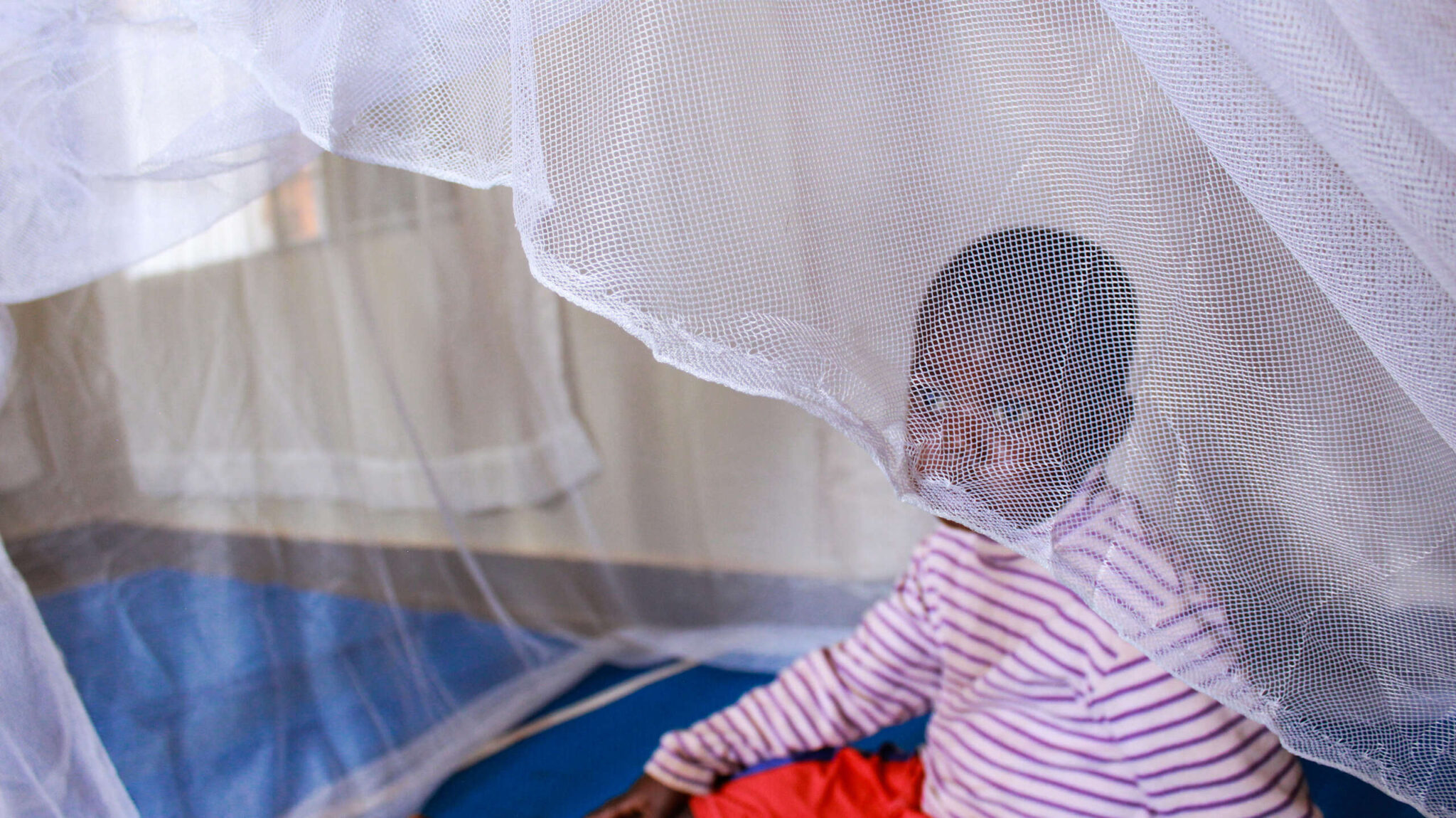 World Malaria Day 2024: Committed to Fighting a Deadly Disease ...